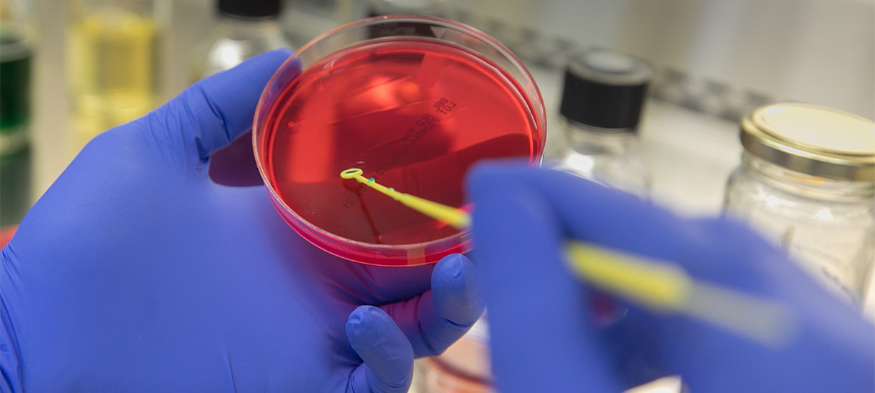 We make healthy possible - Amneal Pharmaceuticals