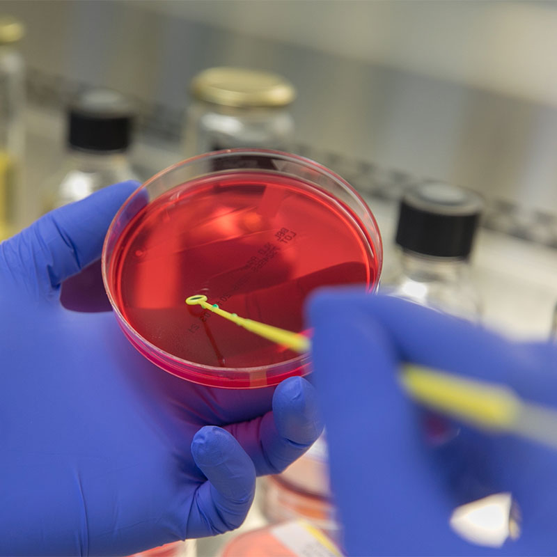 We make healthy possible - Amneal Pharmaceuticals